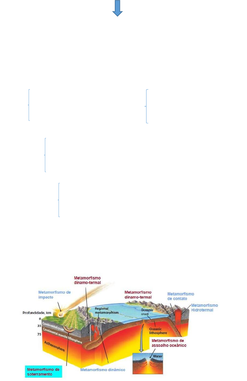 Petrografia Metamórfica - Petrologia Metamórfica