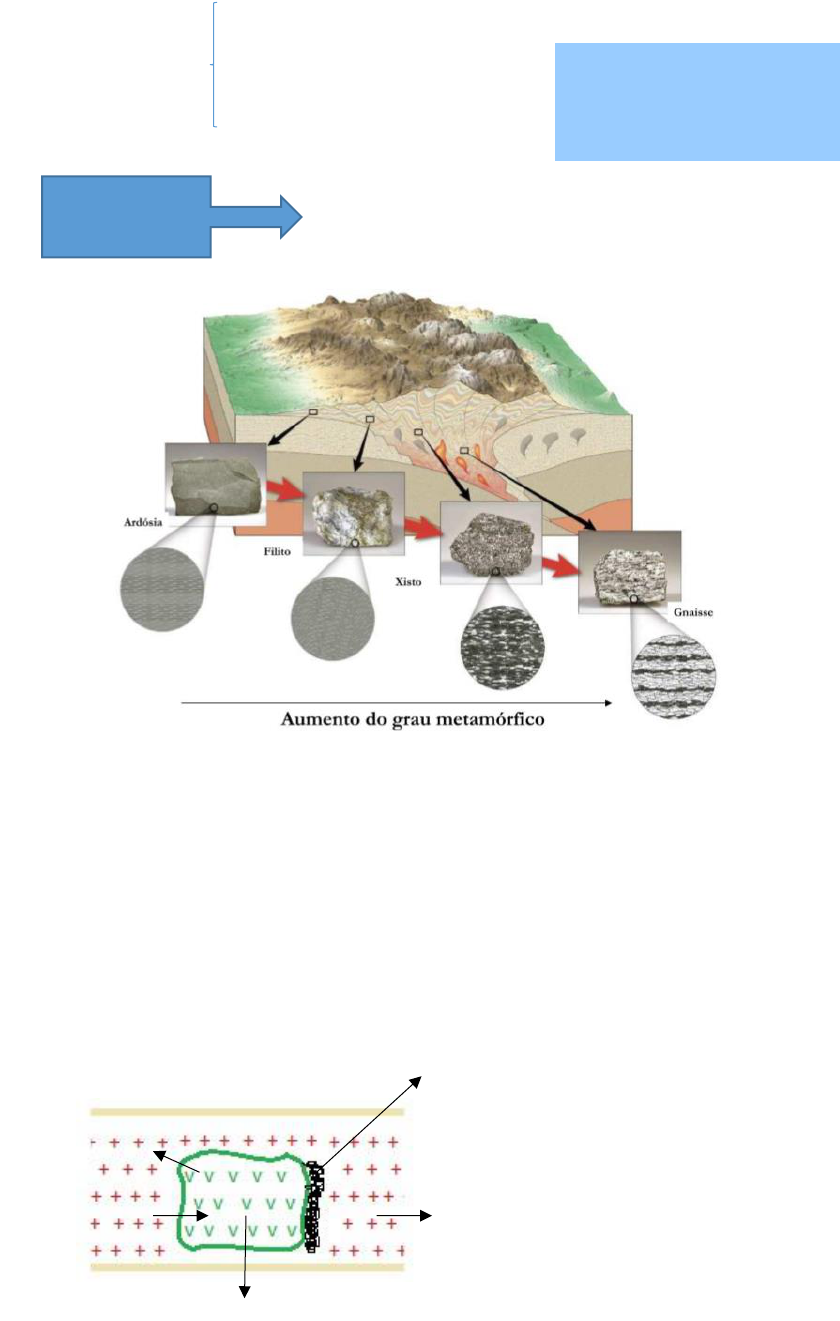 Petrografia Metamórfica - Petrologia Metamórfica