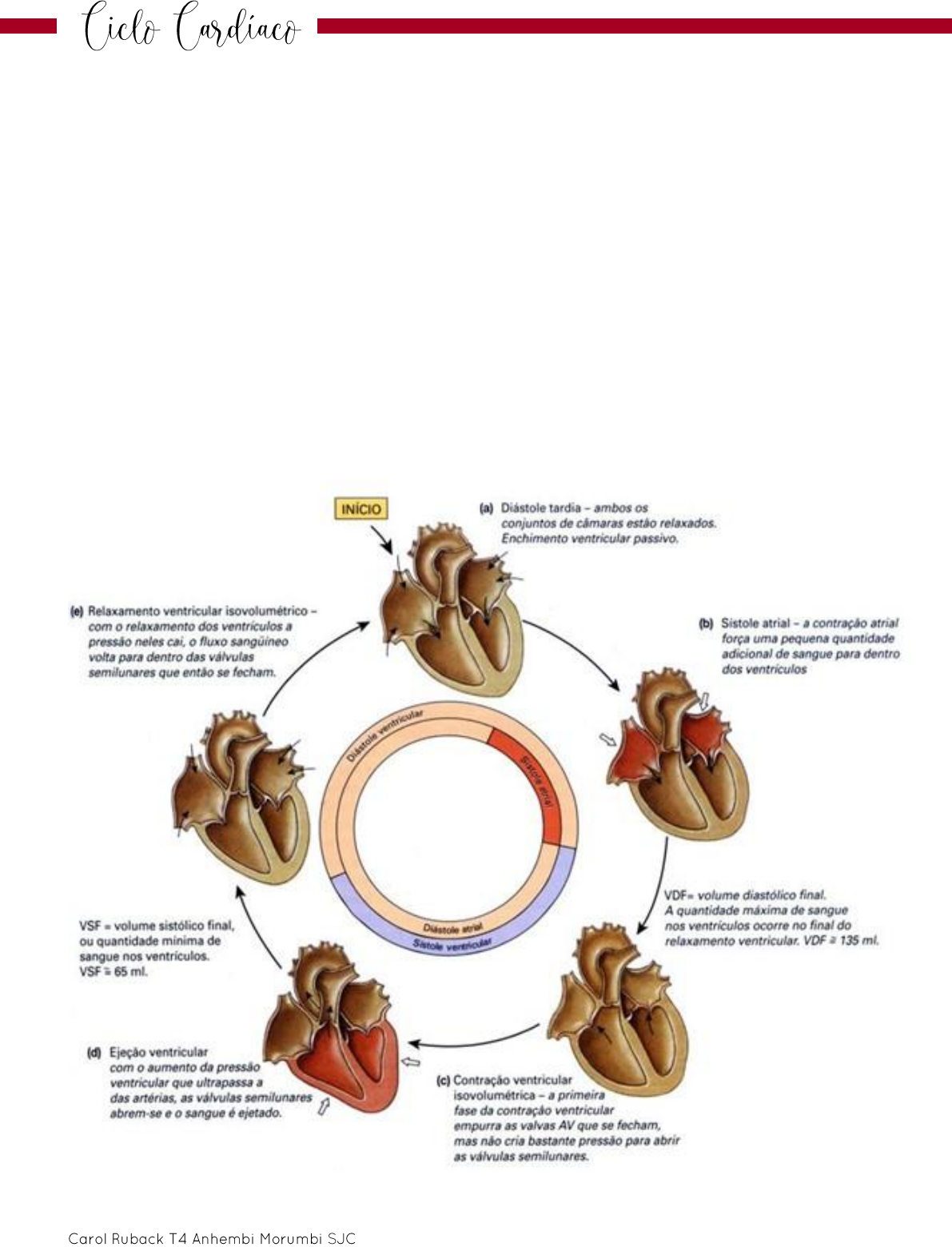 Sístole Ventricular
