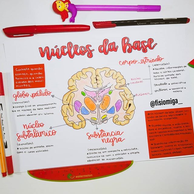 nucleos da base - Enfermagem