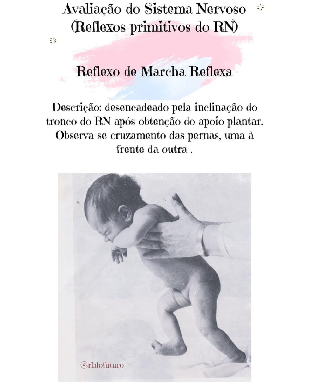 Reflexos Primitivos Do Rn - RETOEDU