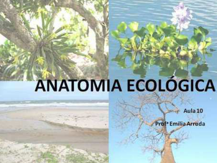 10.Anatomia ecológica - Anatomia Vegetal