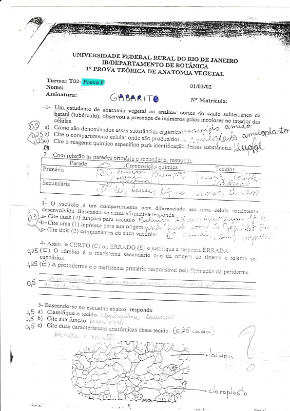 prova anatomia vegetal 2 - Anatomia I