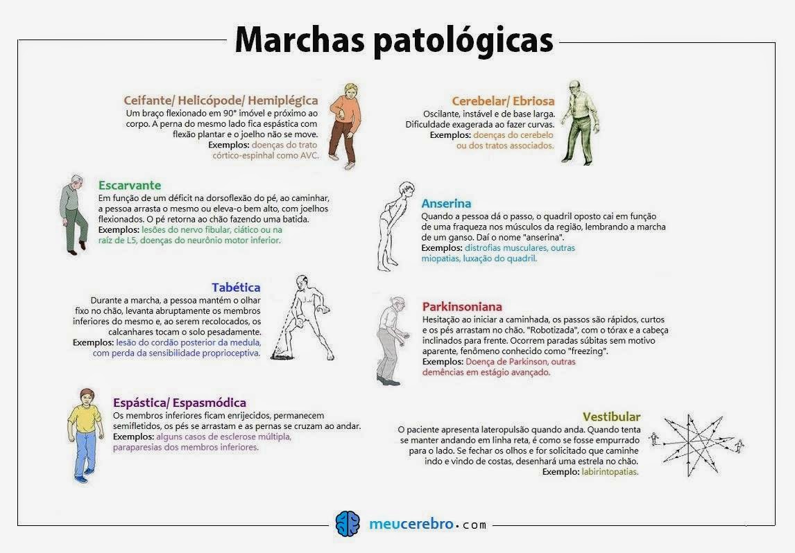 Marchas patologicas - Patologia I