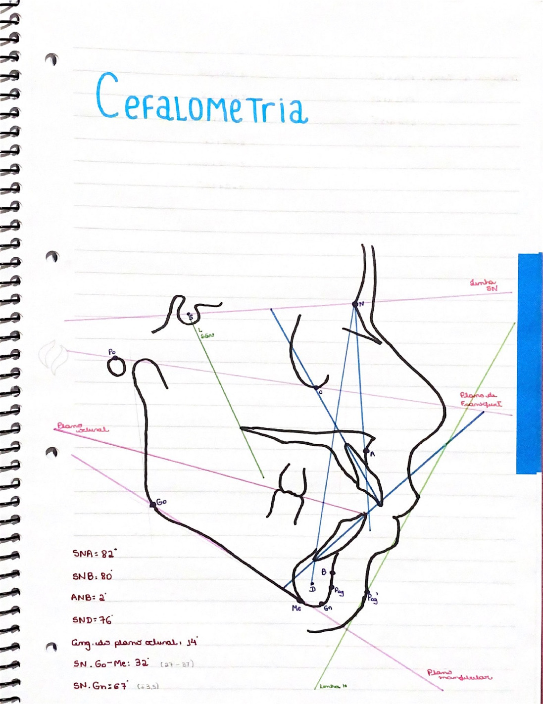 Cefalometria - Ortodontia