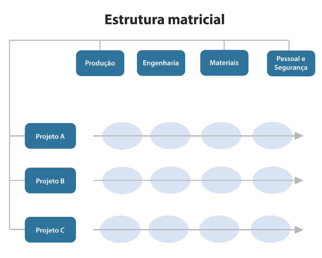 Bases de Gestão - Modelos de Estrutura - Exemplo - Funcional ...